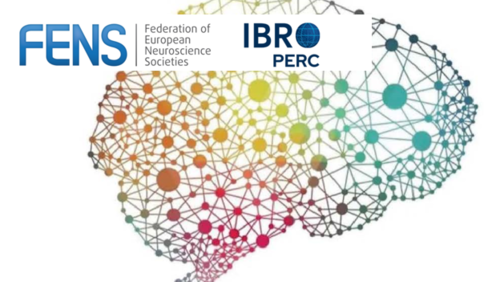 Summer School | Advanced tools for data analysis in neuroscience - ITI ...