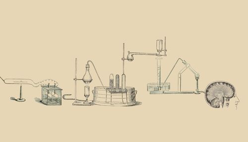 NeuroStra Scientific Day - ITI NeuroStra - Le système nerveux de l ...