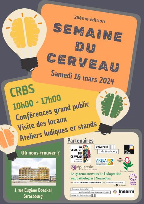 Brain week 2024 - ITI NeuroStra - Université de Strasbourg